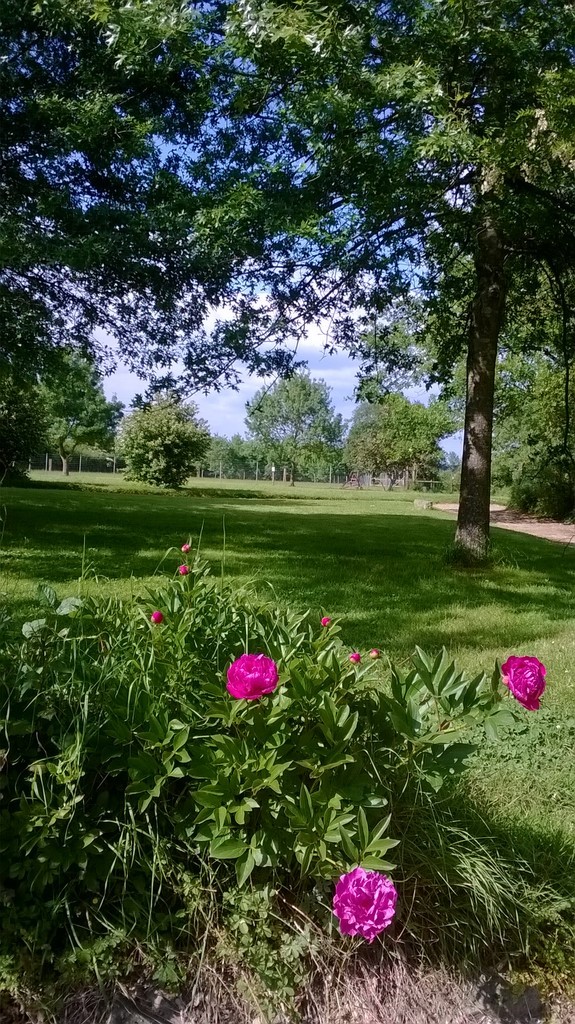 Séjours au domaine En partenariat avec le "Domaine du Parc de la Mauny"